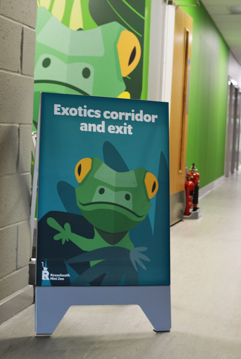 Navigating the creative jungle at Reaseheath Mini Zoo - NetworkIN