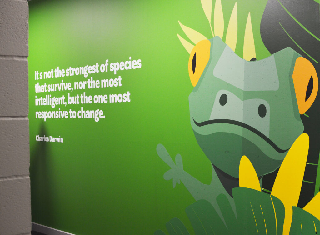 Navigating the creative jungle at Reaseheath Mini Zoo - NetworkIN